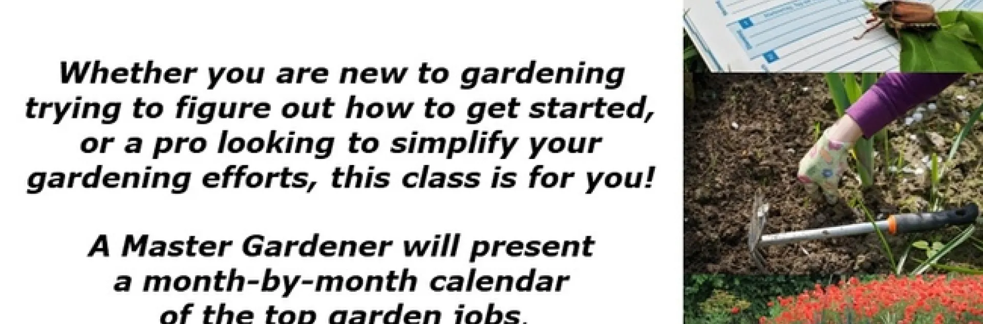 Grow with the Seasons: Master Gardener's Monthly Guide | UC Agriculture ...