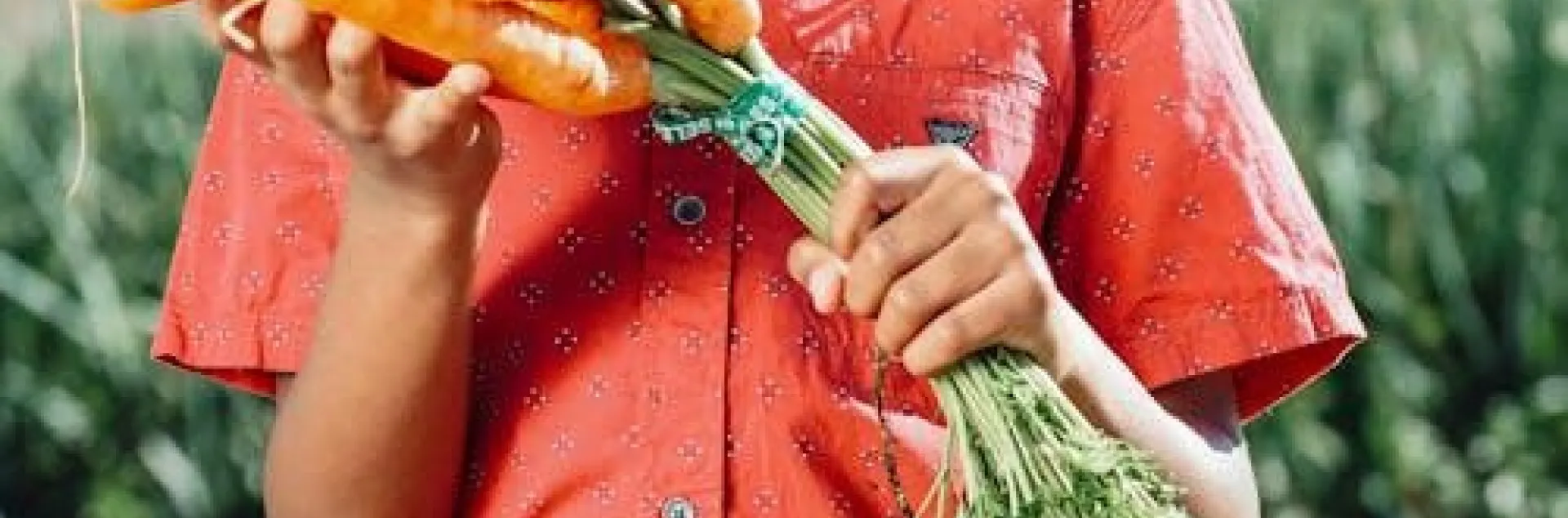 Plant, Pick, Prep, and Plate 'em Up! | UC Agriculture and Natural Resources