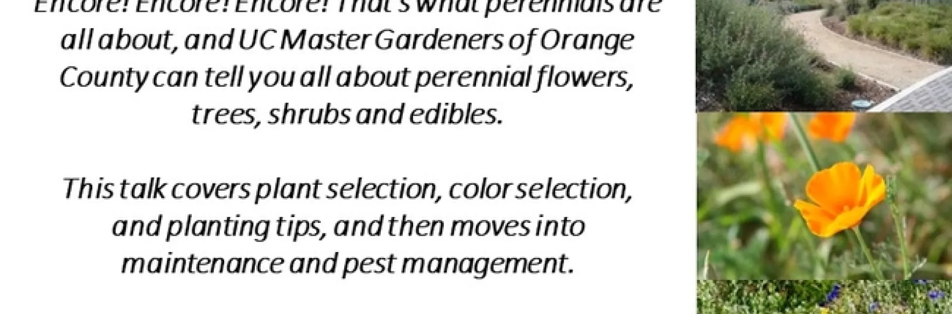 Perennial Paradise Awaits! Join Us for Insights on Selection, Colors & Care with UC Master ...