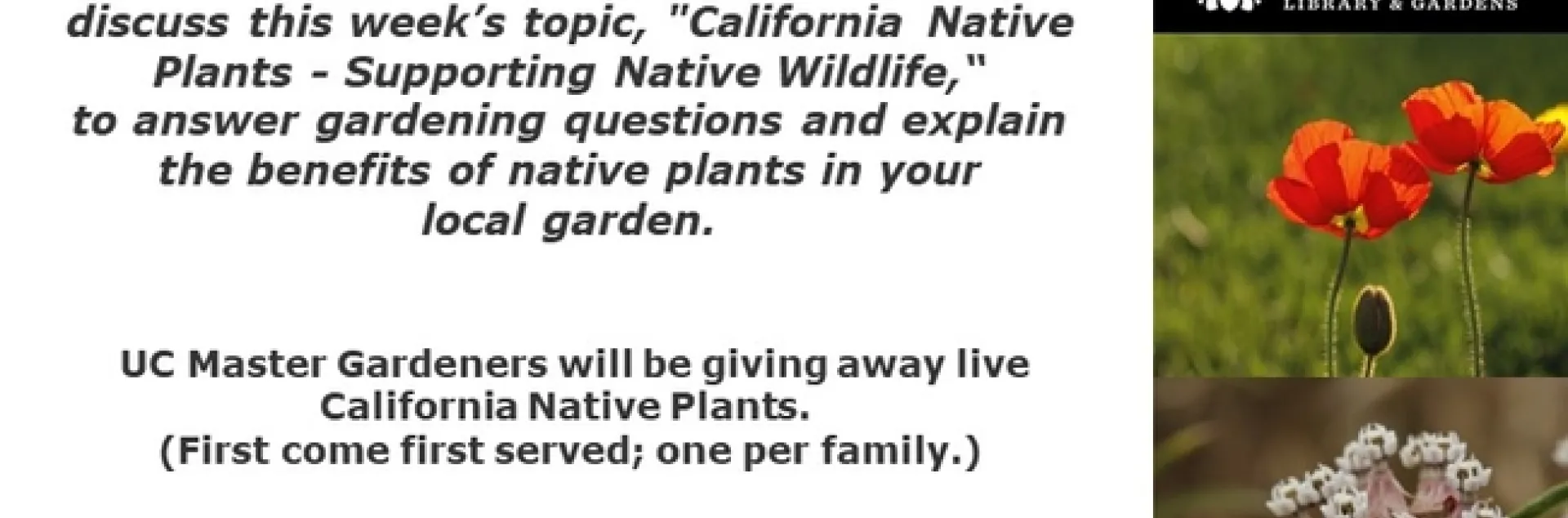 Discover the Benefits of Native Plants – Visit Our Booth! | UC ...