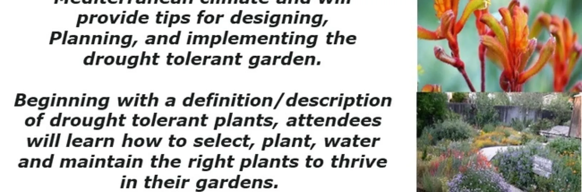 Master Drought Tolerant Gardening in SoCal – Reserve Your Spot Today | UC Agriculture and ...