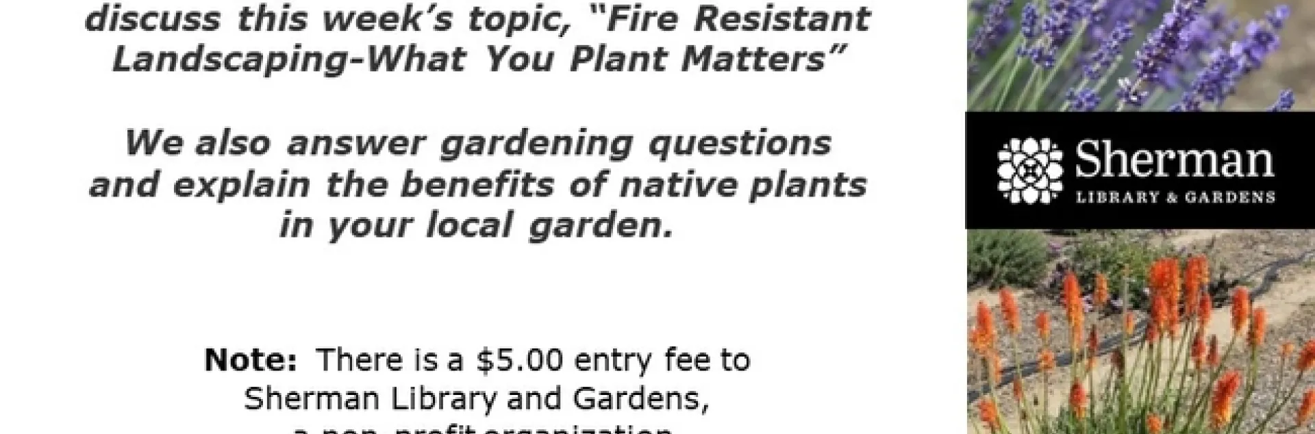 Discover Fire-Resistant Plants: Get Expert Advice at Sherman Gardens ...