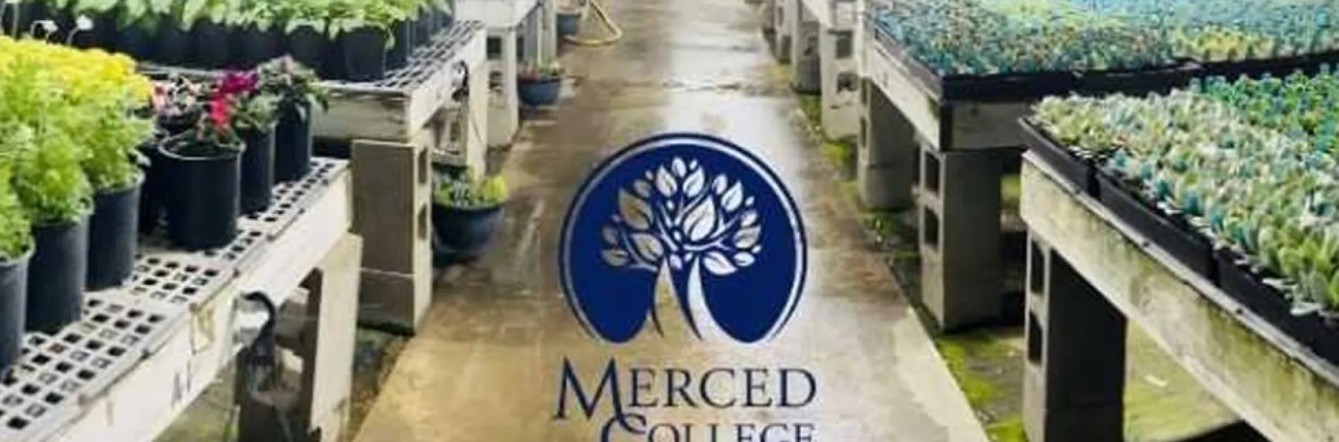 Merced College Annual Plant Sale | UC Agriculture and Natural Resources