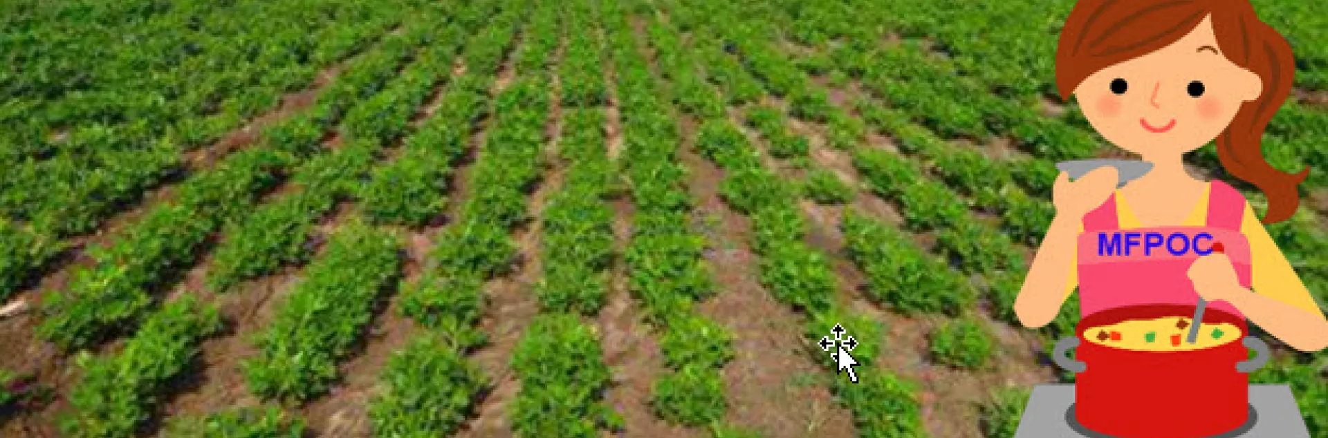 Summer Citrus Festival At George Key Ranch Historic Park | UC ...