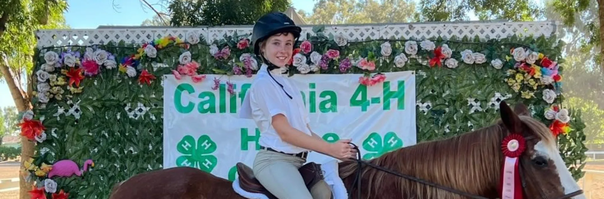 Sponsors Needed for the California 4-H Horse Classic | UC Agriculture ...