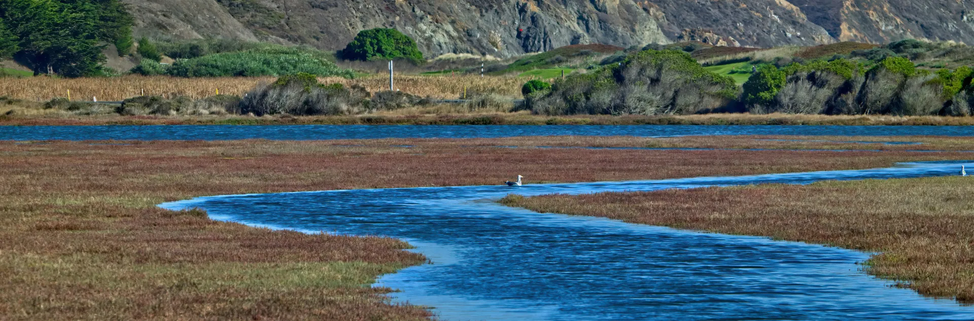 USGS Water Resources Research Act Grant Programs | ANR Contracts ...