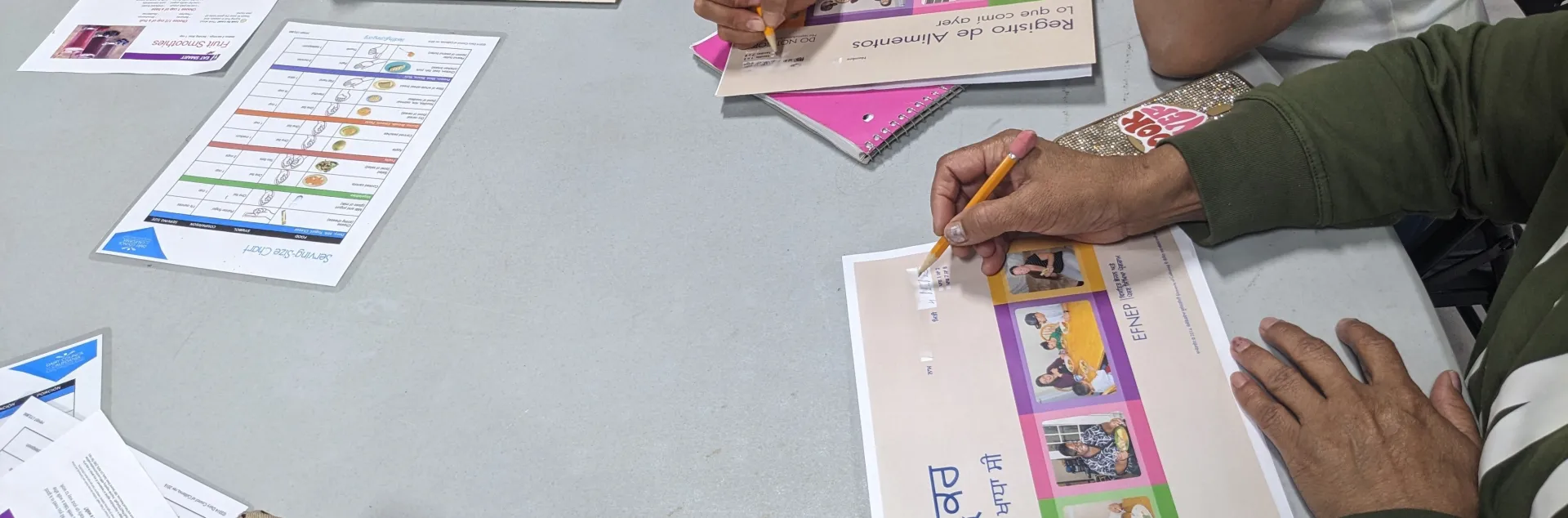 The Sutter County EFNEP Program Improves Equitable Access to Nutrition ...