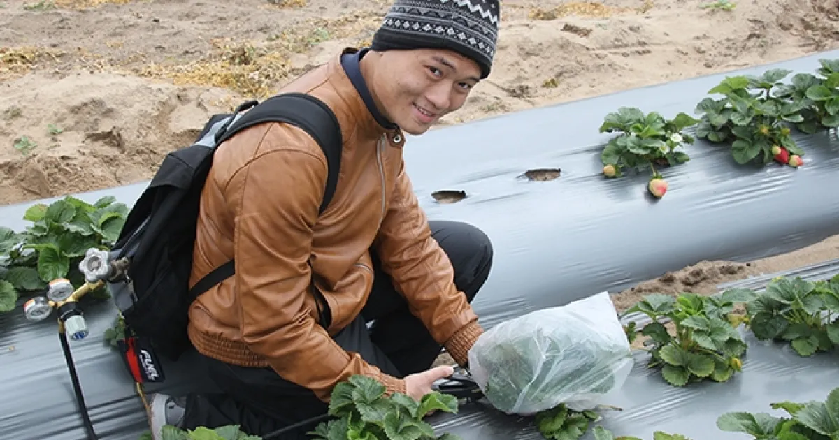 Insects 'Living on the Edge': UC Davis Student Derrick Nguyen's Article ...