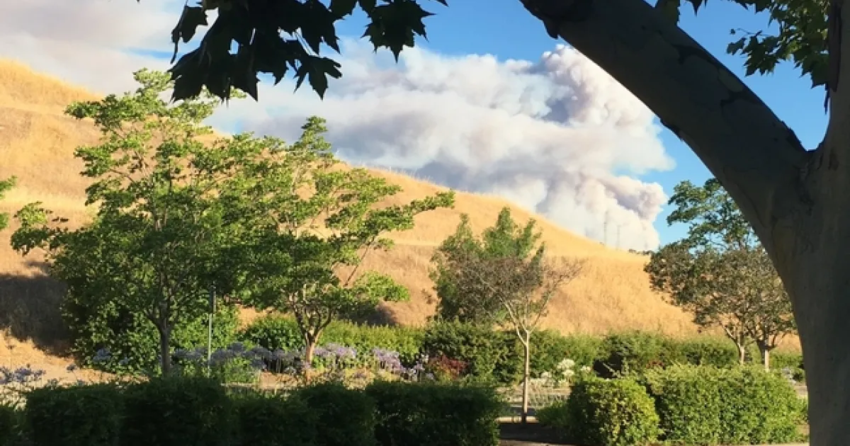 Fire-Resistant Landscaping | UC Agriculture and Natural Resources