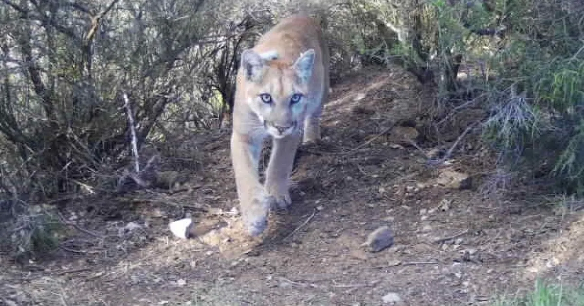 UC Cooperative Extension works in local communities to help ...