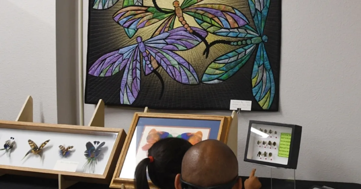 A Crafty Time at the Bohart Museum of Entomology | UC Agriculture and ...