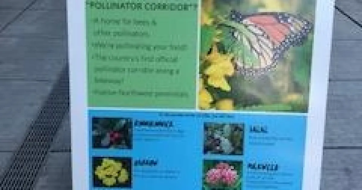 The Pollinator Corridor | UC Agriculture and Natural Resources
