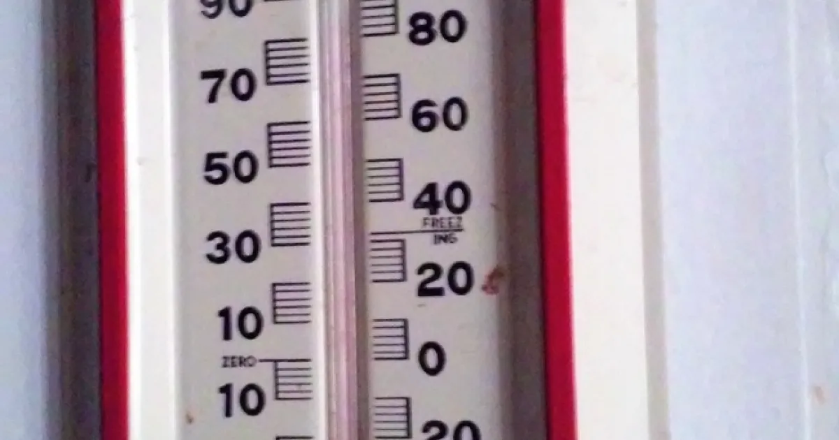 Heat Stress | Under the Solano Sun