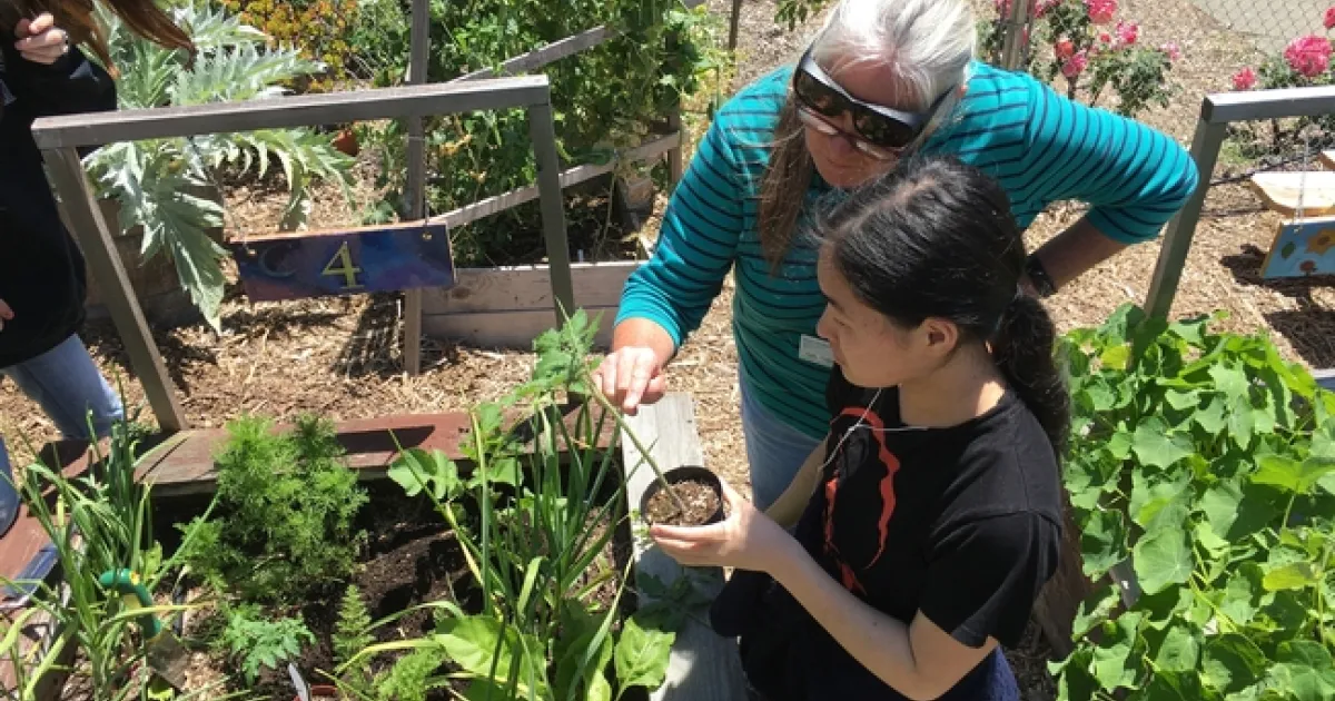 Become a Master Gardener Volunteer | UC Agriculture and Natural Resources
