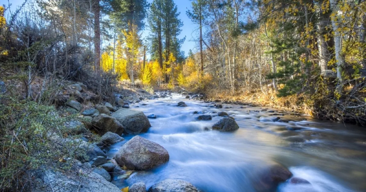To protect California ecosystem services, they must be valued | UC ...