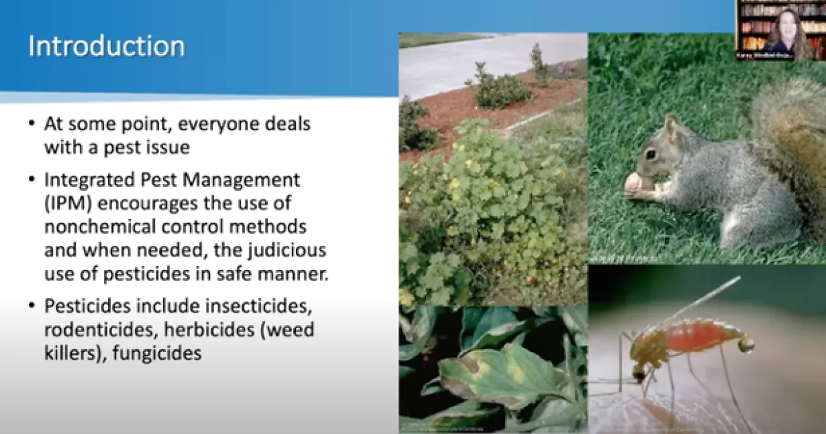 Strategic Initiative Brief: Spotlight on Urban IPM and enhancing our ...