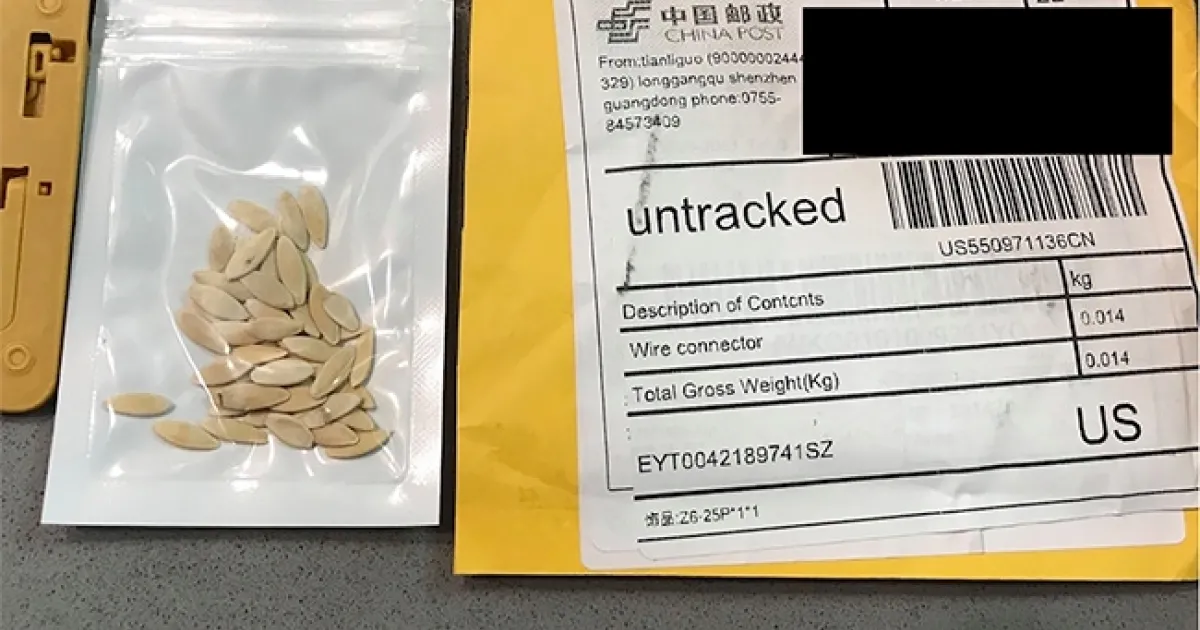Mysterious Seeds in Mail | UC Agriculture and Natural Resources