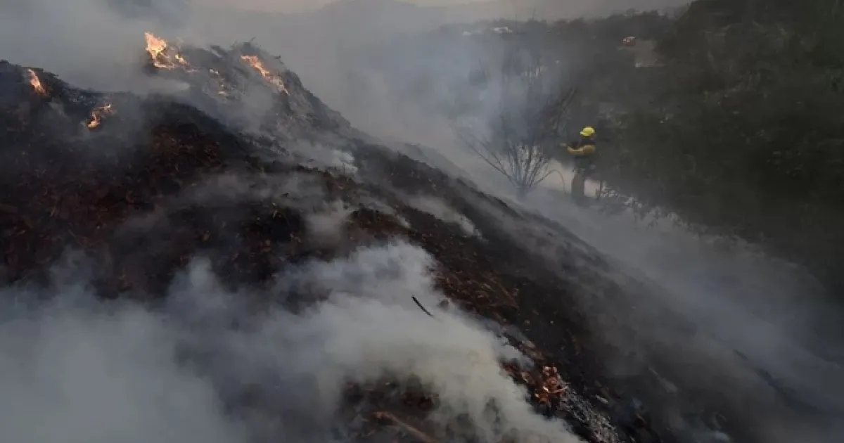 Fire Affected Produce | UC Agriculture and Natural Resources