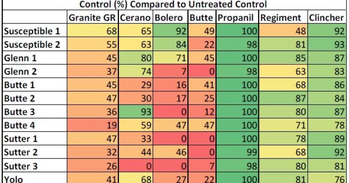 Weeds to Watch Out for in Rice in 2021: Watergrass and Weedy Rice (with ...
