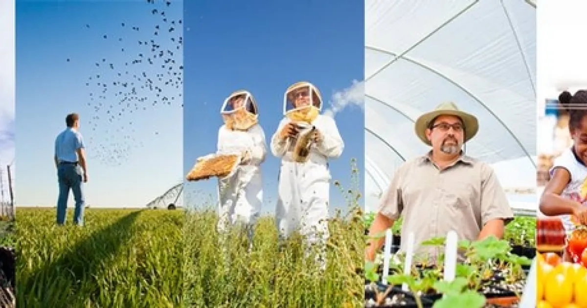 UC ANR releases 10 UC Cooperative Extension positions for recruitment ...