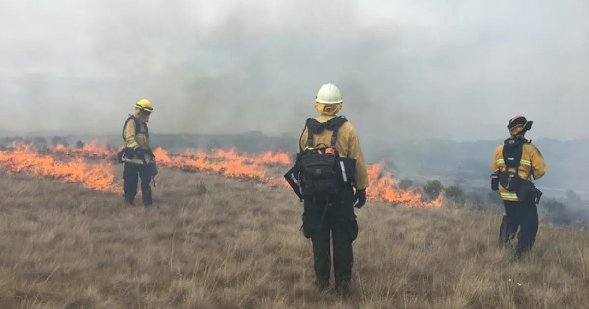 Fire and Grazing on Rangelands Workshop | UC Agriculture and Natural ...