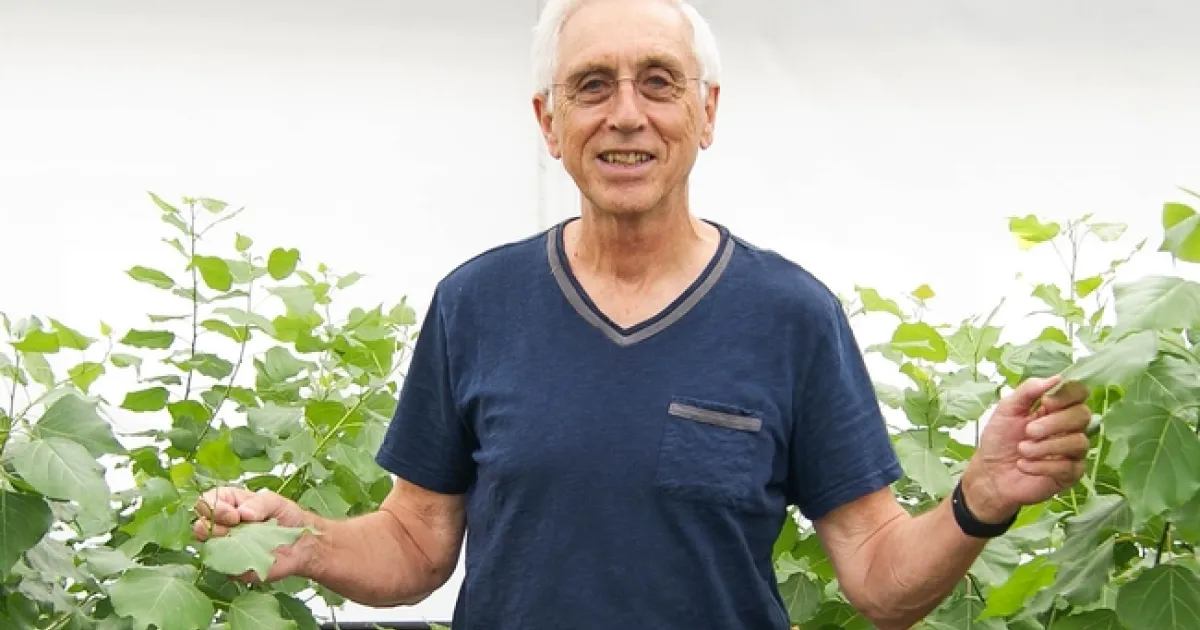 In Memoriam: Norman Terry | ANR Employee News