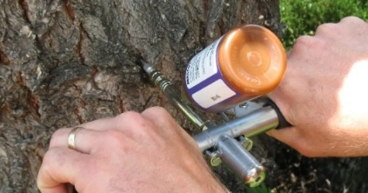 Tree Trunk Injection Review | Topics in Subtropics