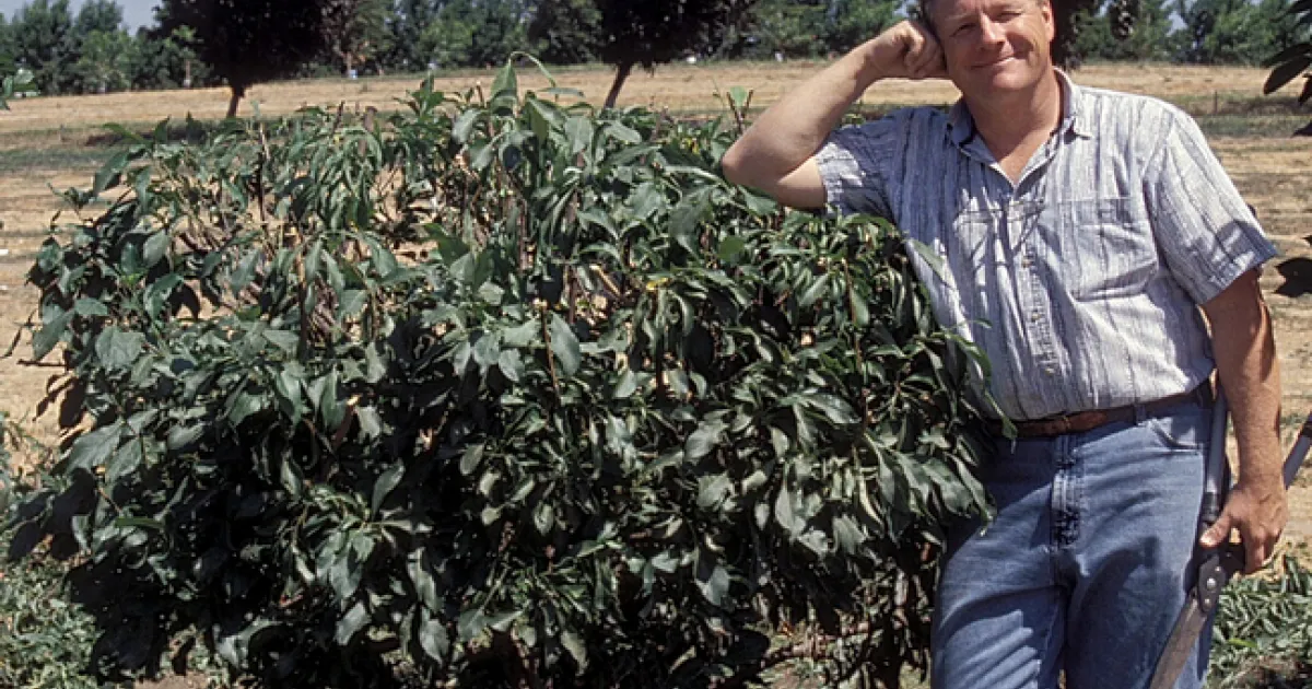 The Fruit Bush Method for Backyard Orchards | UC Agriculture and ...