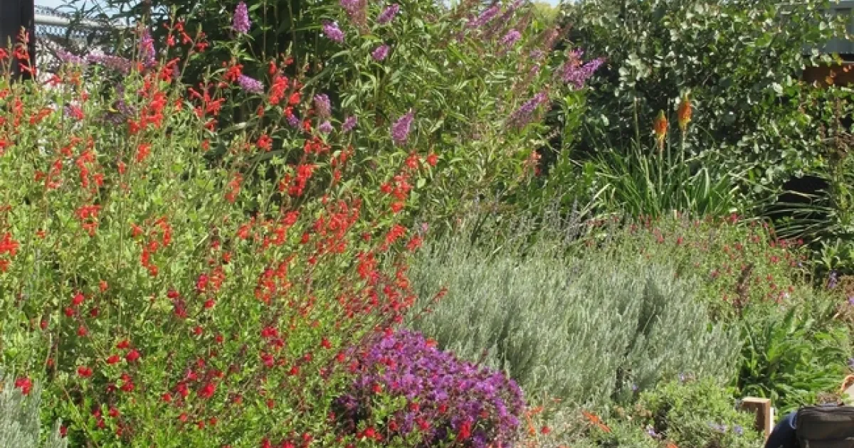 What is subsoil and how does it help a garden? | UC Agriculture and ...