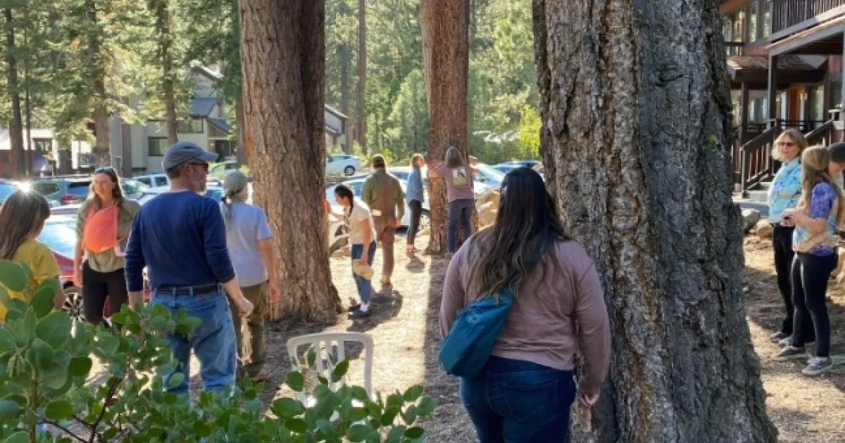 Project Learning Tree: Shaping the Future of California Forests | UC ...