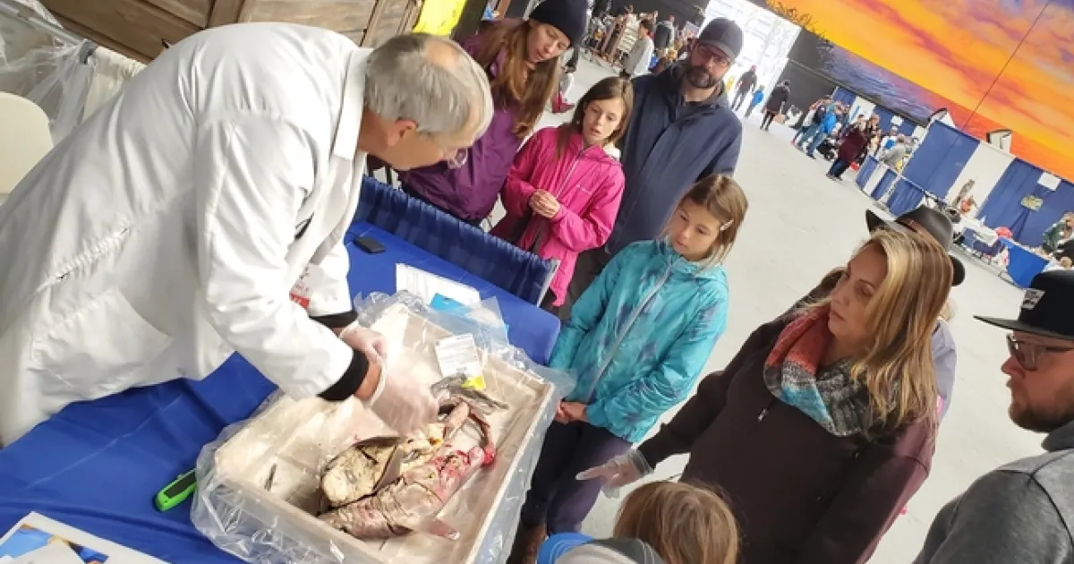 North Bay Science Discovery Day sparks youth curiosity in STEM | ANR ...
