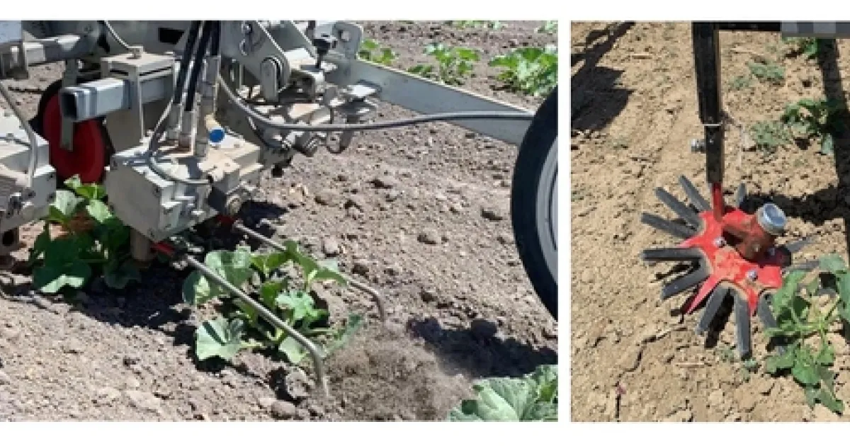 Weed control and cost benefit analysis of automated cultivators and ...