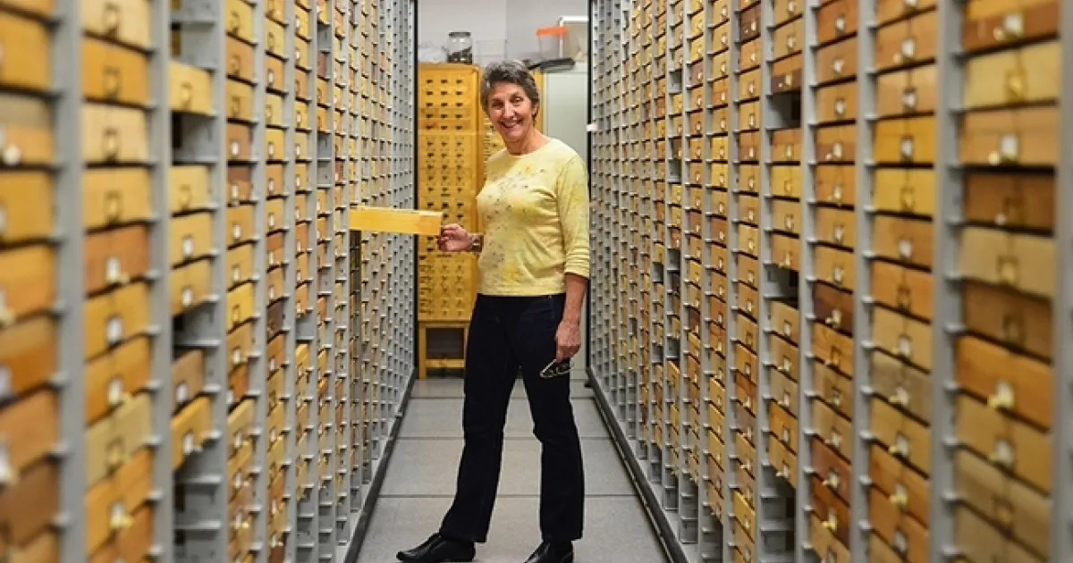 Congrats to UC Davis Distinguished Professor Lynn Kimsey: Exceptional ...