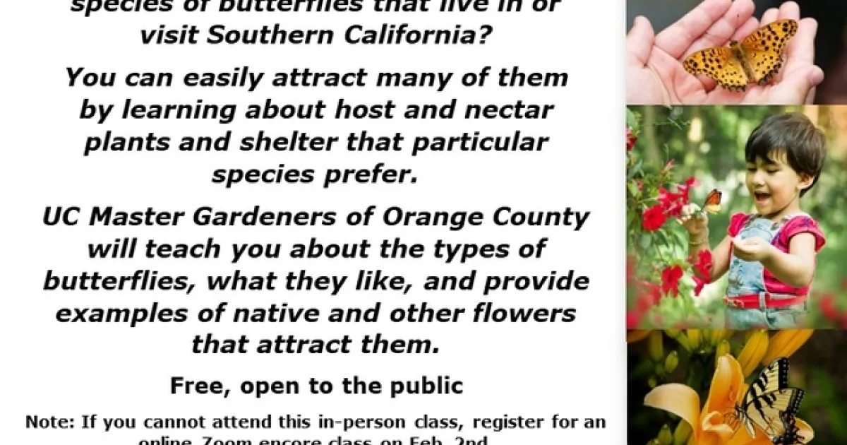 Discover Butterfly Secrets: 'Gardening for Butterflies' - RSVP for Free ...