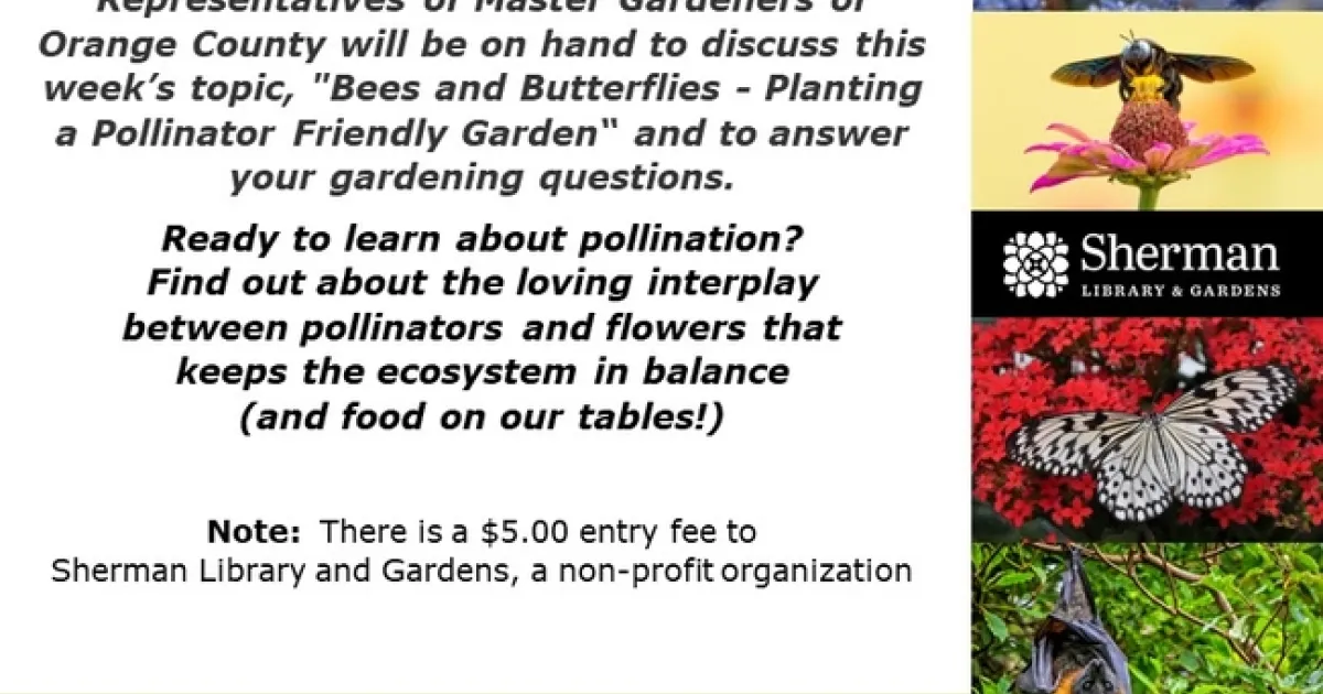 Buzz Over to Our Booth! Explore the world of pollinators and plants ...