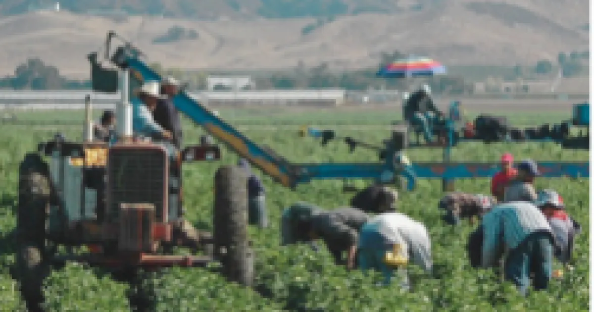 Ag Labor Workshops for Employers and Supervisors | UC Agriculture and ...