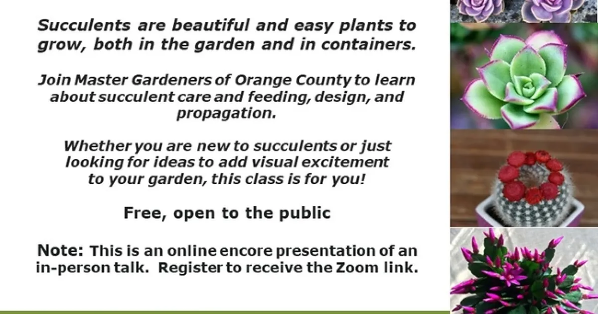 Design, Grow, and Care for Succulents – Live Zoom Workshop | UC ...