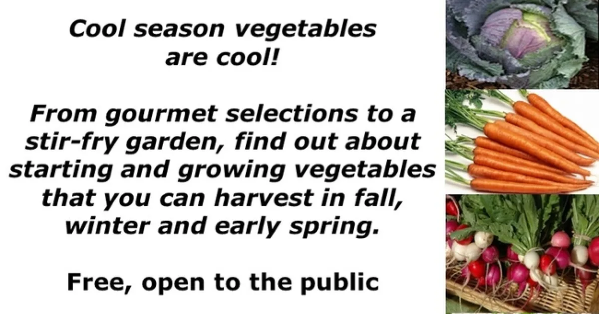 Transform Your Winter Garden: Discover How to Grow Cool-Season ...