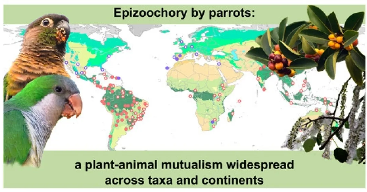 Horticultural Terms — Epizoochory: Another Form of Seed Dispersal ...
