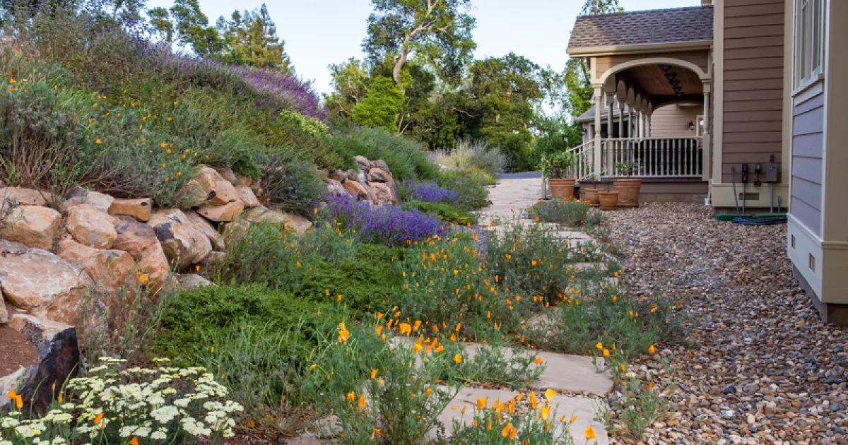 February: Assessing and Planning Zones 1 & 2 | UC Marin Master Gardeners