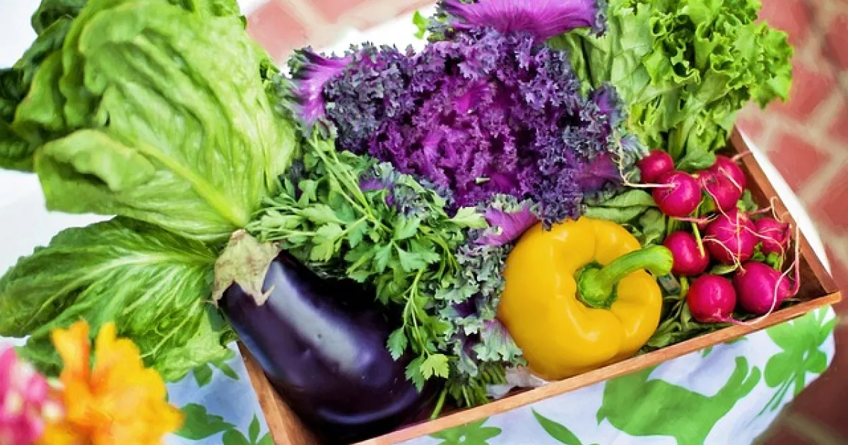 Start Your Summer Vegetable Garden/Ojai | UC Master Gardeners of ...