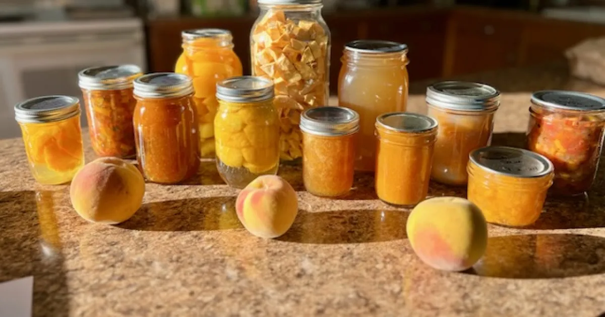 St. Timothy's Community Garden in Gridley | The Real Dirt