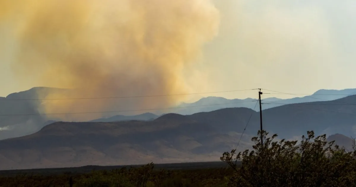 Fire Resilient Landscaping | UC Agriculture and Natural Resources