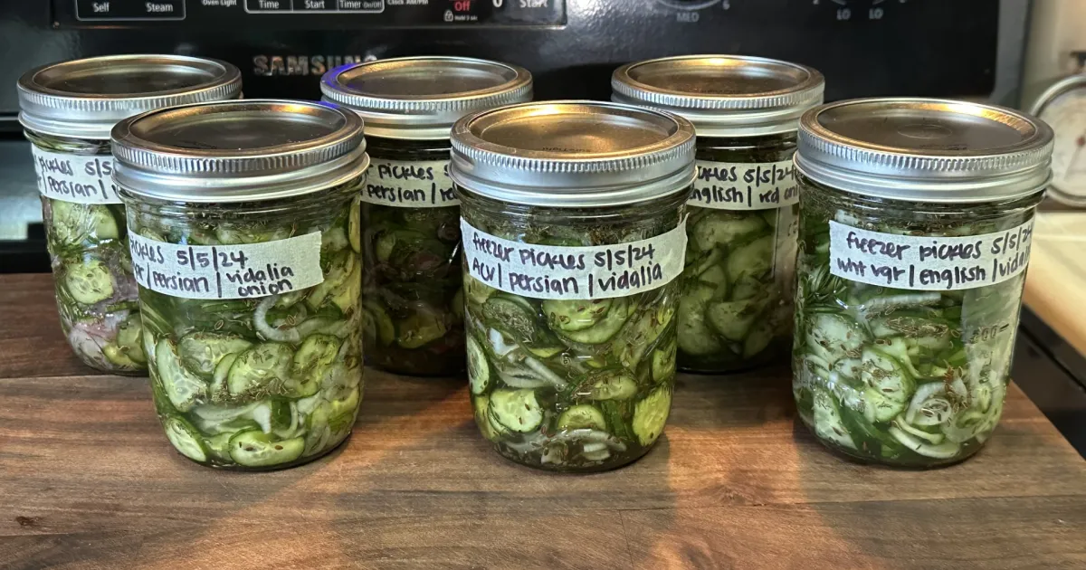 Central Sierra: Pickle Palooza - (in person Jackson) | UC Agriculture ...