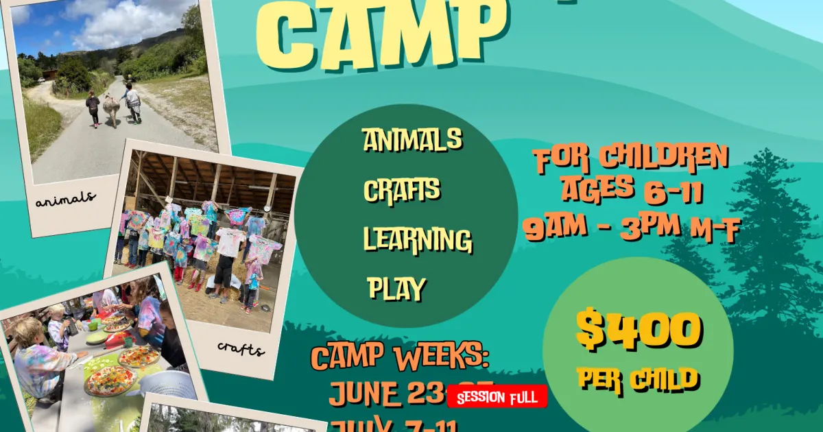 Elkus Summer Camp 2025: Session 5 - Sorry, All Sessions Full! | Elkus ...