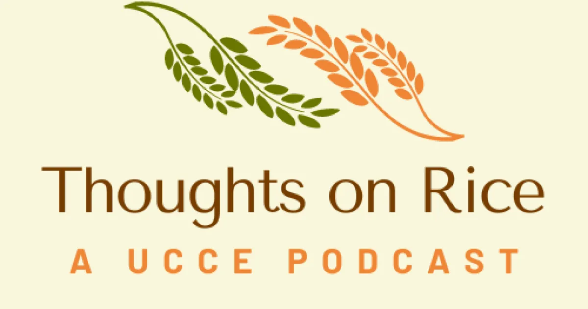 Colusa/Yolo Rice Briefs - November 2024 | UC Agriculture and Natural ...