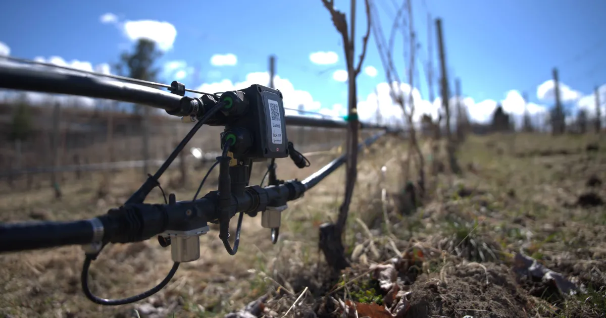 UC ANR receives $15.1 million to accelerate ag tech innovation | ANR News Releases