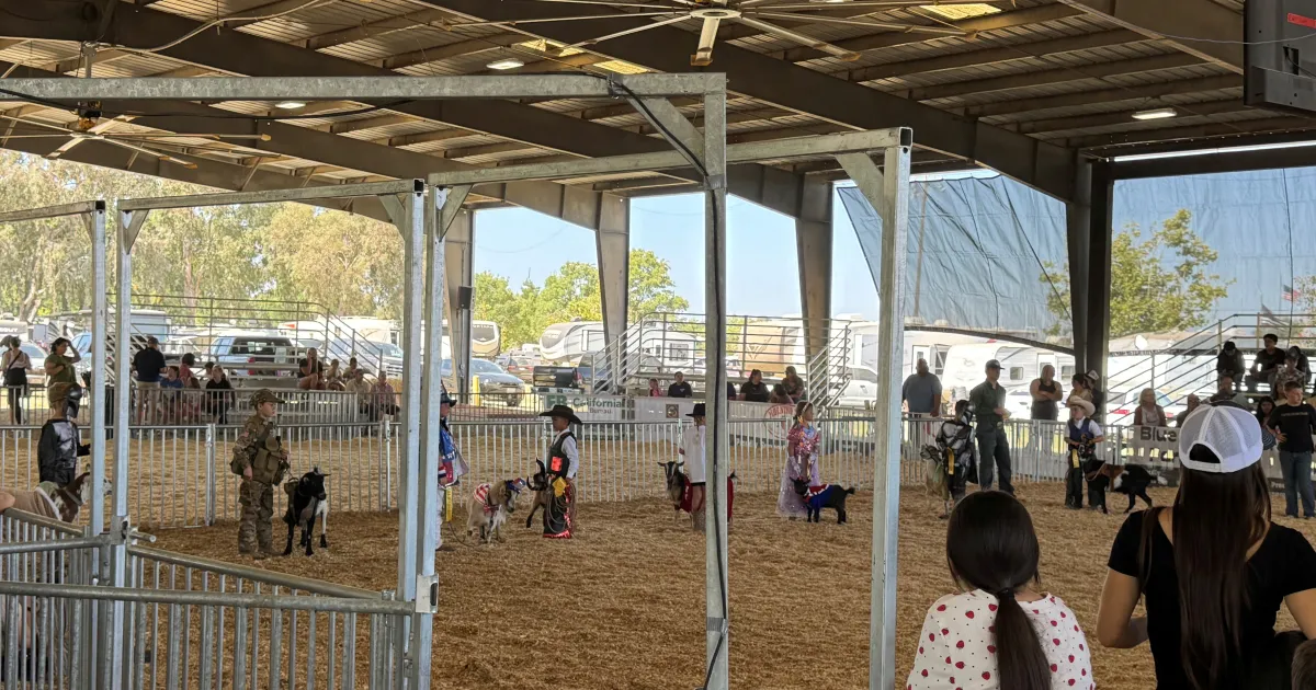 County Fair Requirements | Colusa County