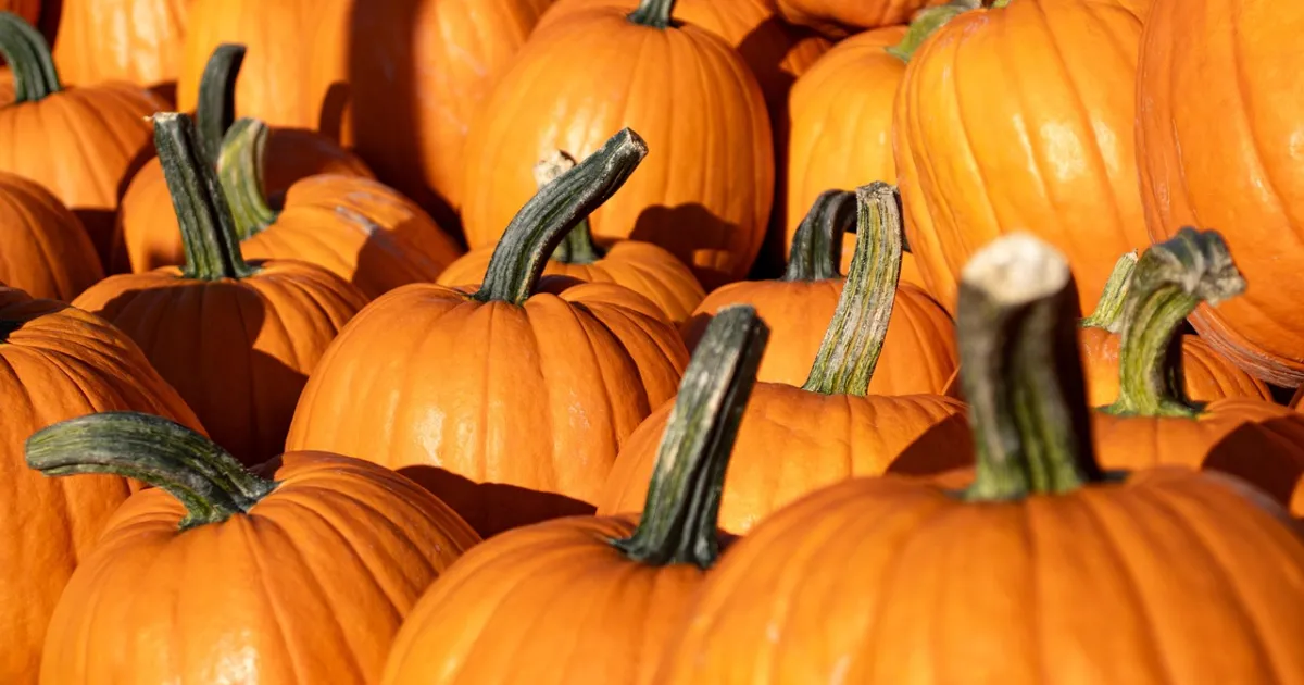 Tanaka Farms: Master Food Preserver Information Booth | UC Agriculture and Natural Resources