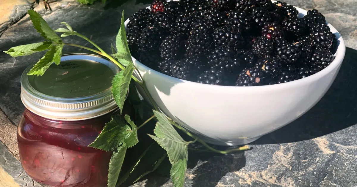 Growing & Caring for Cane Fruit and Other "Berries" | UC Master ...